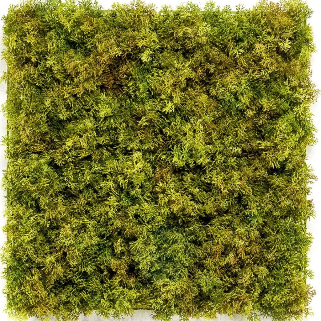 Jardín vertical Ignífugo de MUSGO artificial con Protección UV