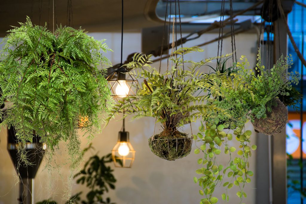 Planta con Arte - Las plantas artificiales más Hiperrealistas